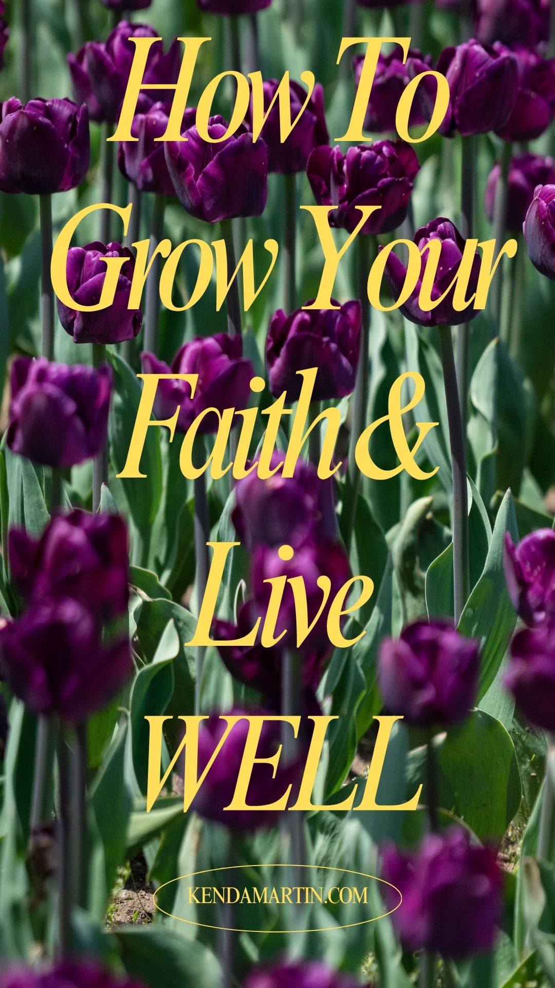 HOW TO GROW YOUR FAITH AND LIVE WELL